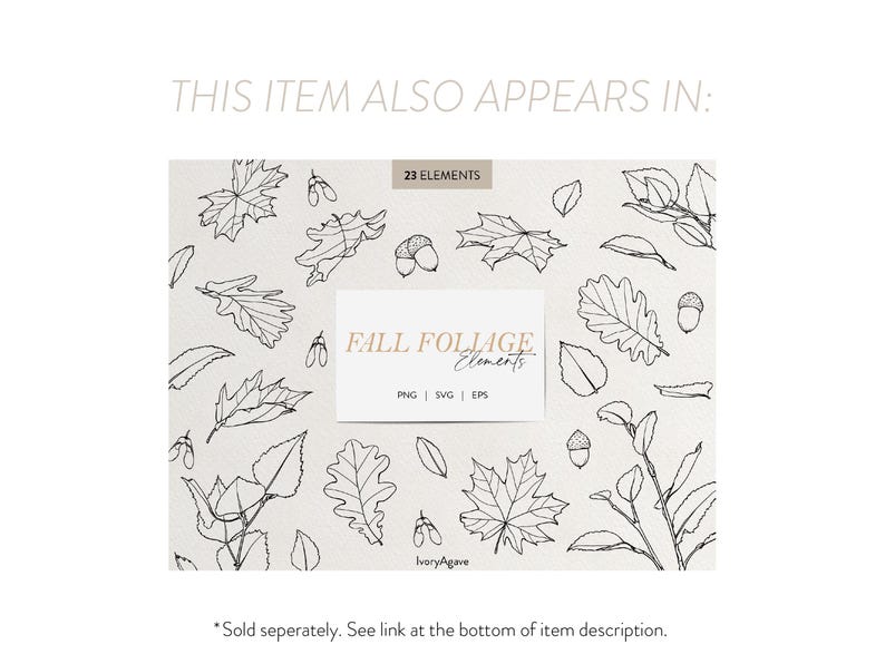 Fall Foliage Maple Leaves Line Art Clipart | Hand Drawn Vector | Fine ...