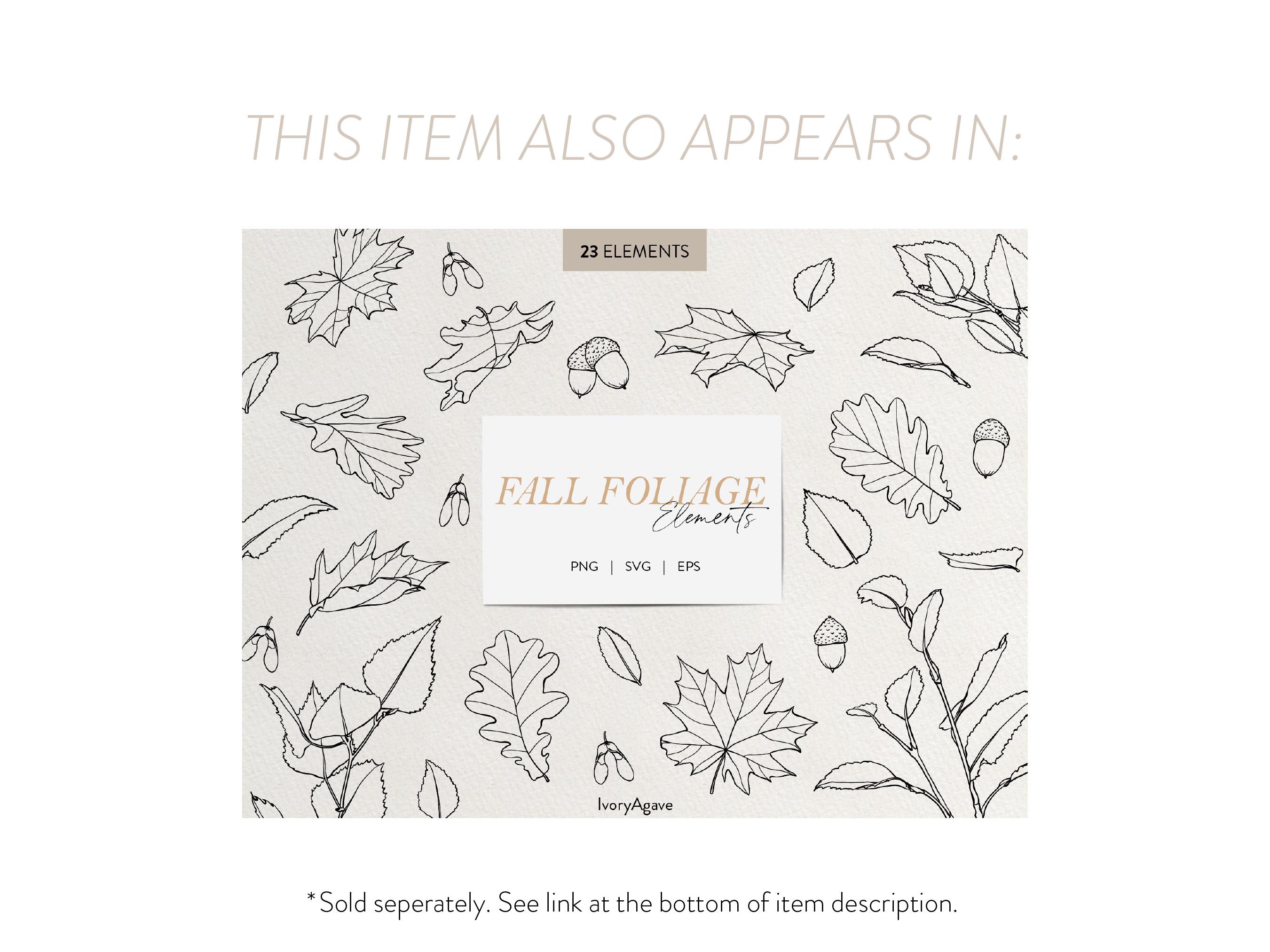 Fall Foliage Maple Leaves Line Art Clipart | Hand Drawn Vector | Fine ...
