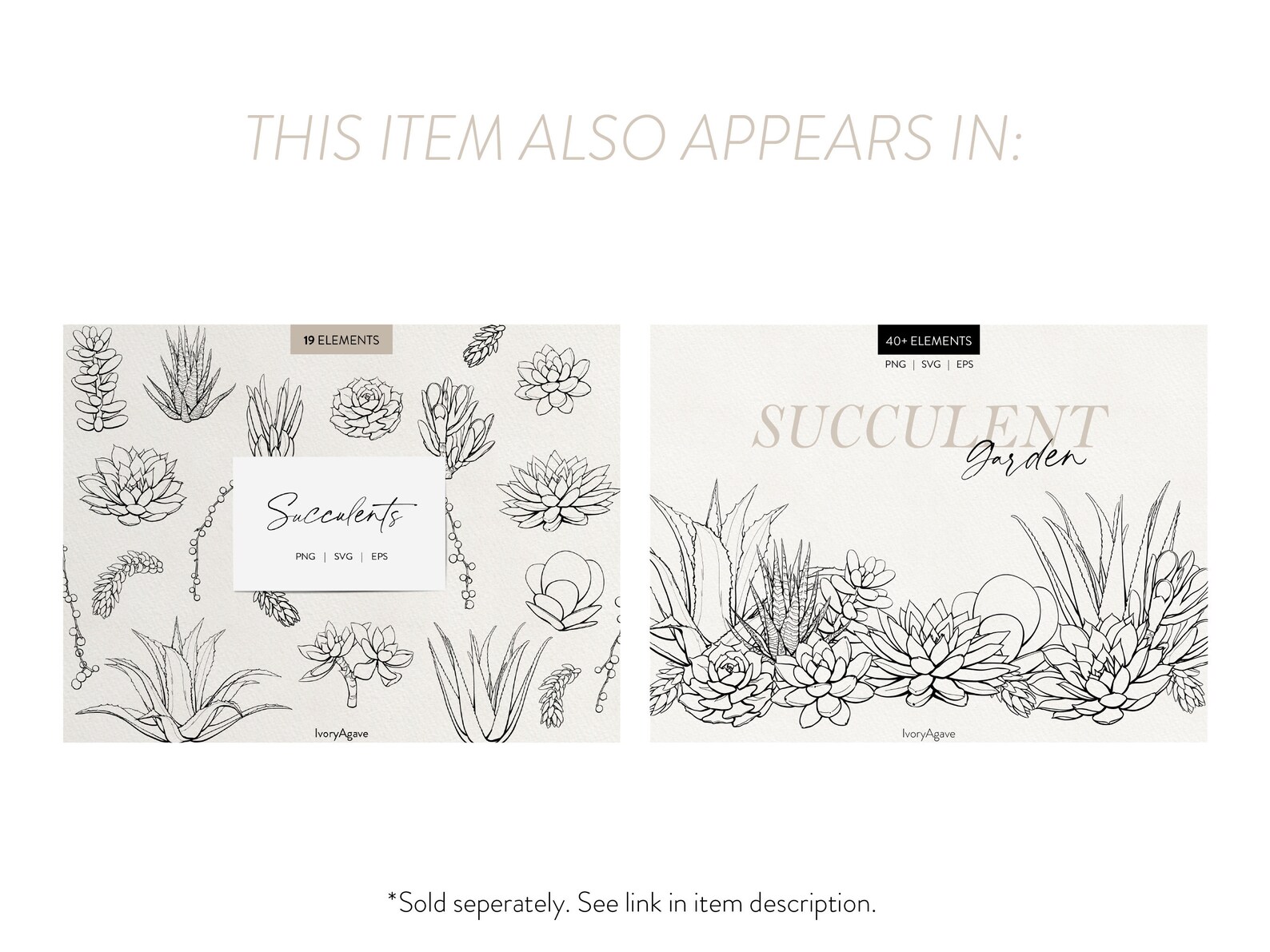 Succulent Line Art Clipart | Summer Botanical Flower Hand Drawn SVG PNG ...