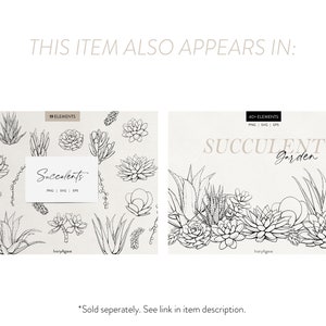 Succulent Line Art Clipart | Summer Botanical Flower Hand Drawn SVG PNG ...