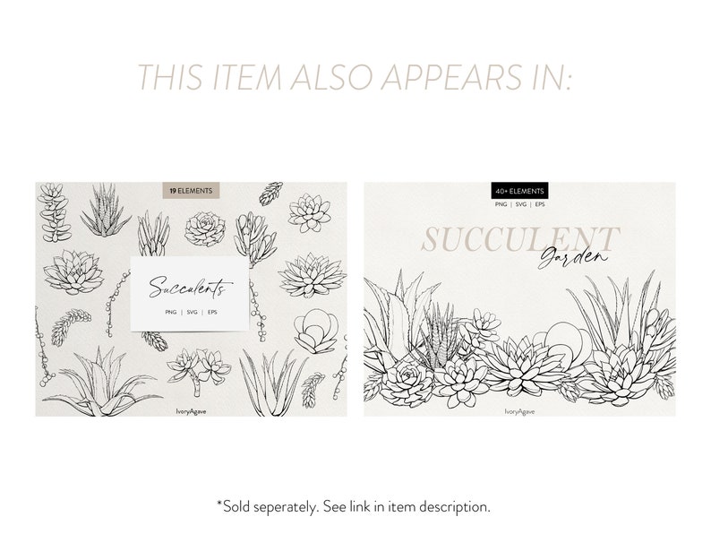 Succulent Line Art Clipart | Summer Botanical Flower Hand Drawn SVG PNG ...