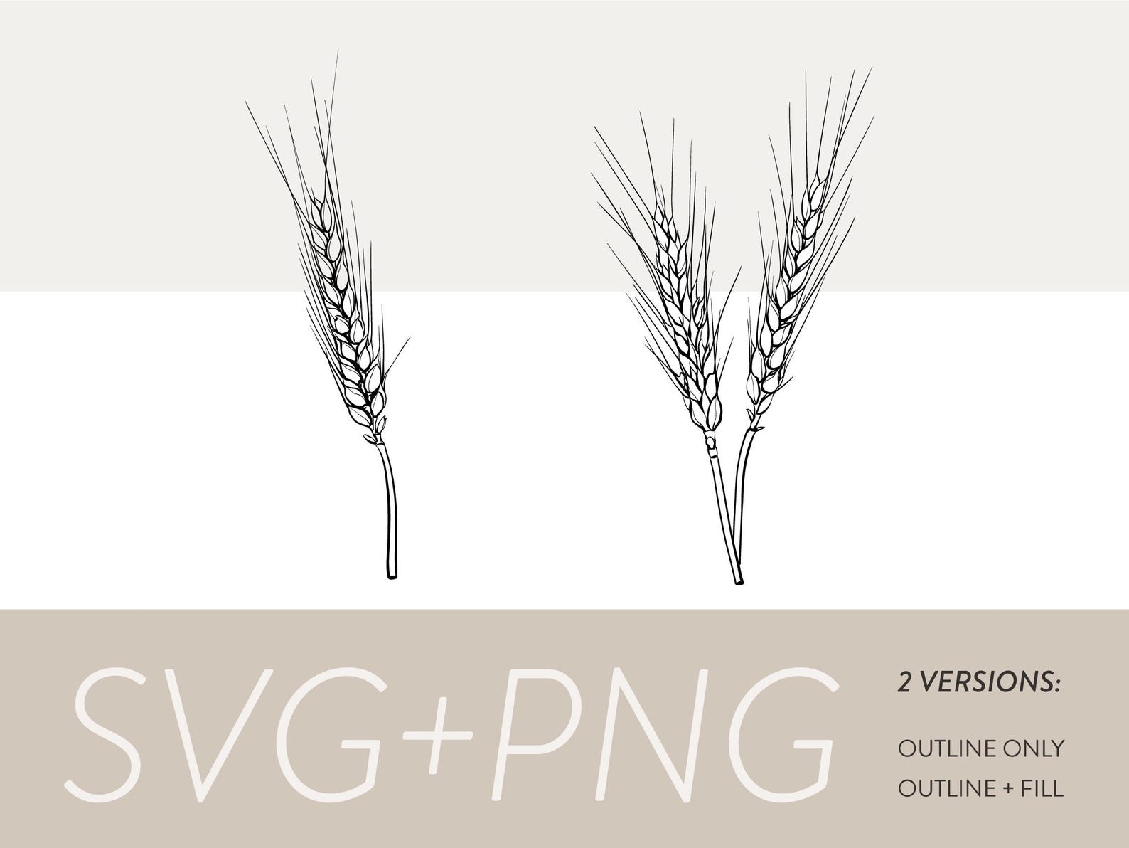 Fall Wheat Autumn Harvest Line Art Drawing: Hand Drawn Vector ...