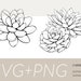 Succulent Line Art Clipart | Summer Botanical Flower Hand Drawn SVG PNG ...