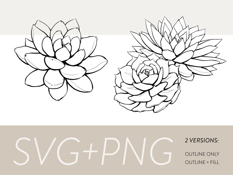 Succulent Line Art Clipart | Summer Botanical Flower Hand Drawn SVG PNG ...