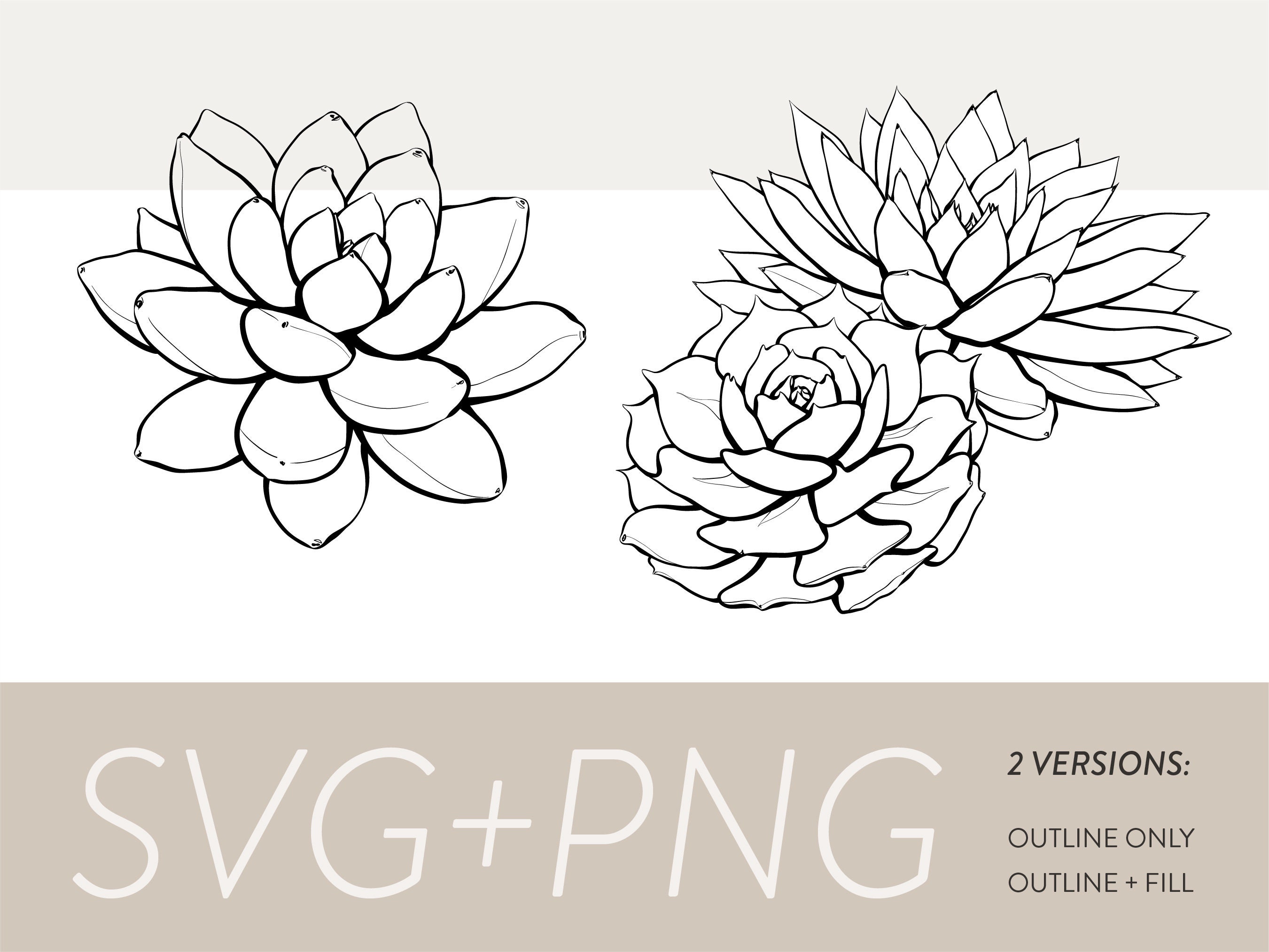 Succulent Line Art Clipart | Summer Botanical Flower Hand Drawn SVG PNG ...