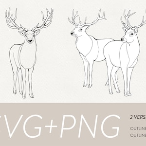Deer Stag Line Art Clipart | Winter Holiday Woodland Animal Hand Drawn ...