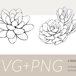 Succulents Line Art Clipart Hand Drawn Summer Botanical Flora SVG PNG ...