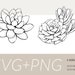 Succulents Line Art Clipart Hand Drawn Summer Botanical Flora SVG PNG ...