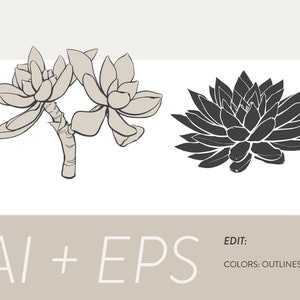 Succulents Line Art Clipart Hand Drawn Summer Botanical Flora SVG PNG ...