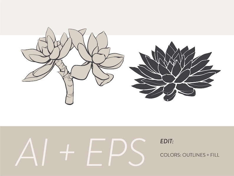 Succulents Line Art Clipart Hand Drawn Summer Botanical Flora SVG PNG ...