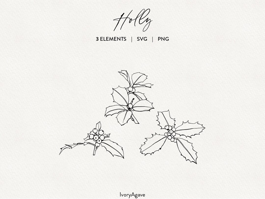 Holly Leaves Line Art Clipart | Christmas Winter Holiday Greenery Flora ...