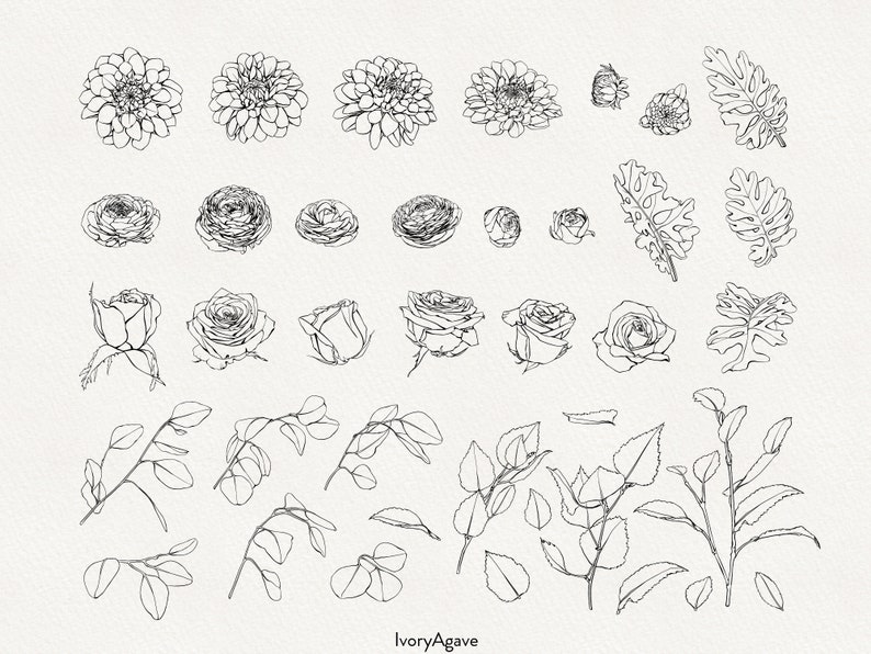 Fall Floral Line Art Clipart Elements | Autumn Botanical Flowers Hand ...