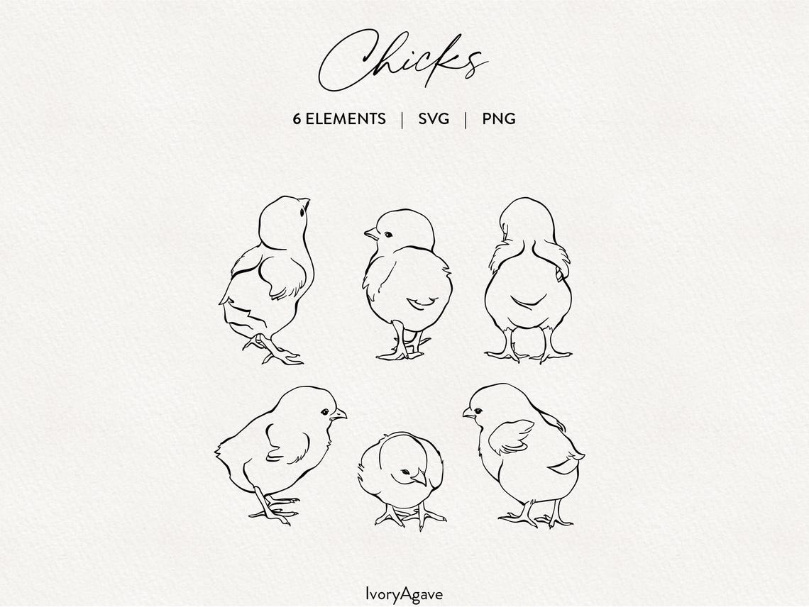 Cute Baby Chicks Line Art Clipart Modern Spring Easter Hand Drawn ...