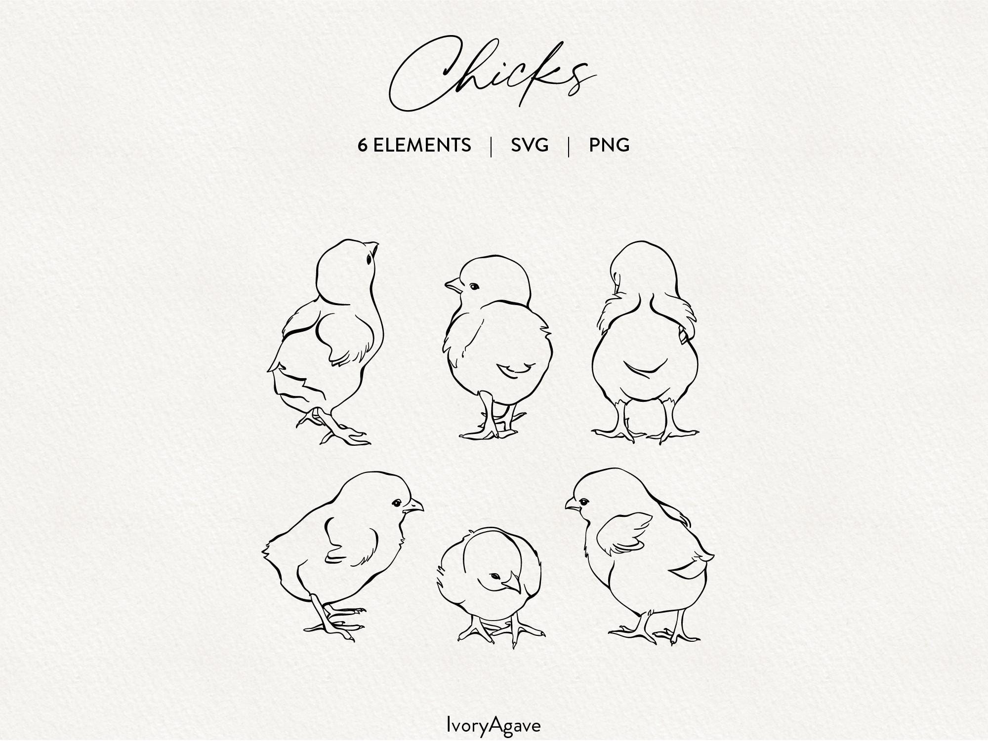 Cute Baby Chicks Line Art Clipart Modern Spring Easter Hand Drawn ...