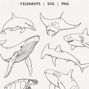 Ocean Animals Line Art Drawing Graphics Marine Summer Sea Life Hand ...