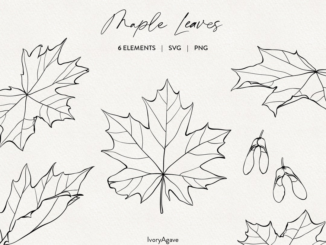 Fall Foliage Maple Leaves Line Art Clipart | Hand Drawn Vector | Fine ...