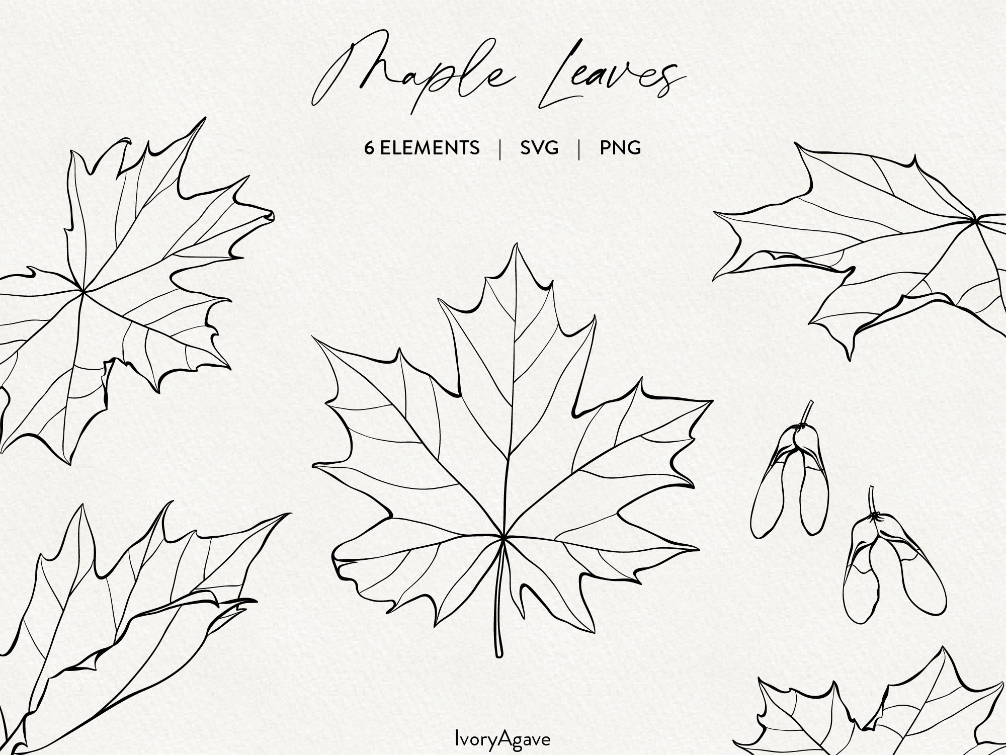 Fall Foliage Maple Leaves Line Art Clipart | Hand Drawn Vector | Fine ...