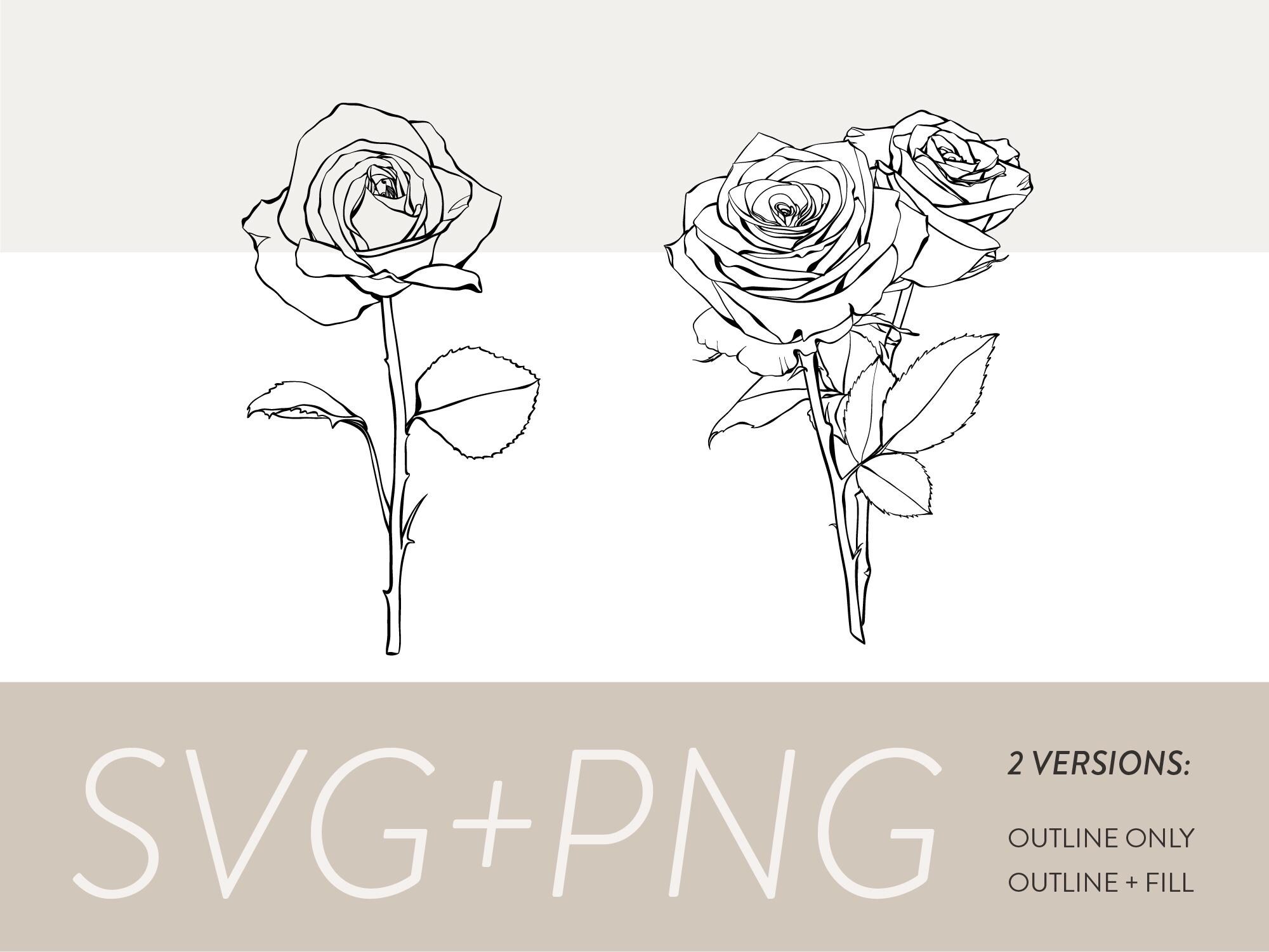 Valentine Rose With Stem Line Art Clipart Botanical Flower Hand Drawn ...