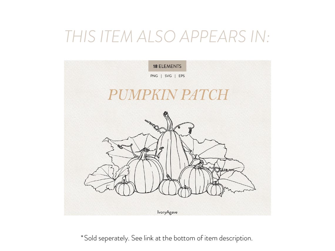Fall Pumpkins Line Art Clipart | Hand Drawn Vector | Autumn Fine Line ...
