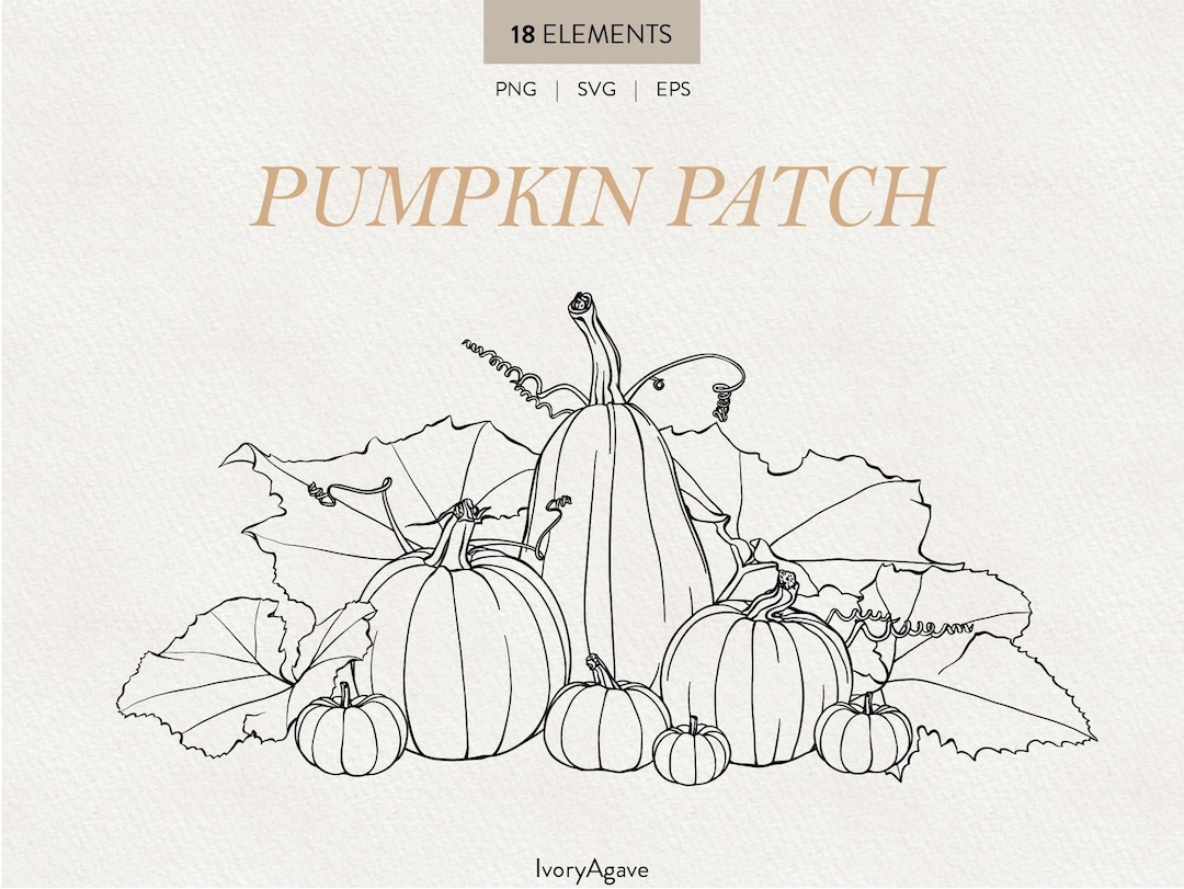 Fall Pumpkin Patch Line Art Clipart | Autumn Pumpkins Vines Leaves Hand ...