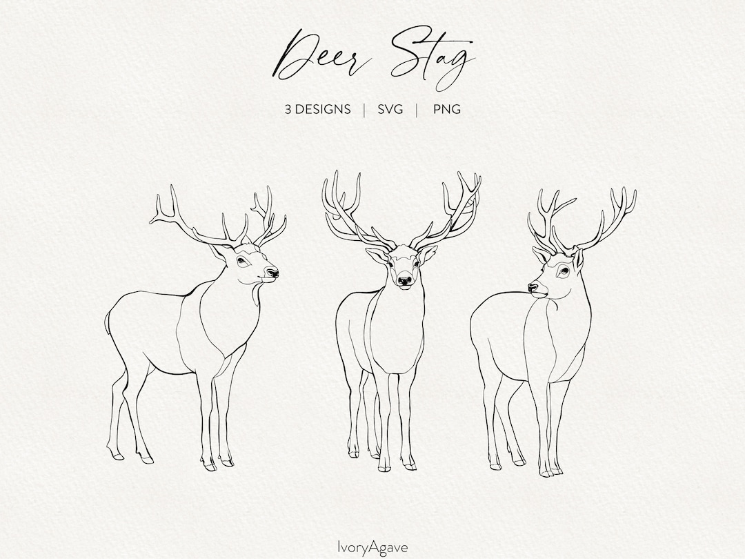 Deer Stag Line Art Clipart Winter Holiday Woodland Animal Hand Drawn ...