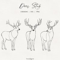 Fall Floral Line Art Clipart Elements Autumn Botanical Flowers Hand ...