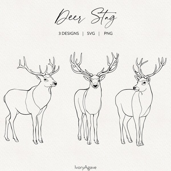 Fall Floral Line Art Clipart Elements Autumn Botanical Flowers Hand ...