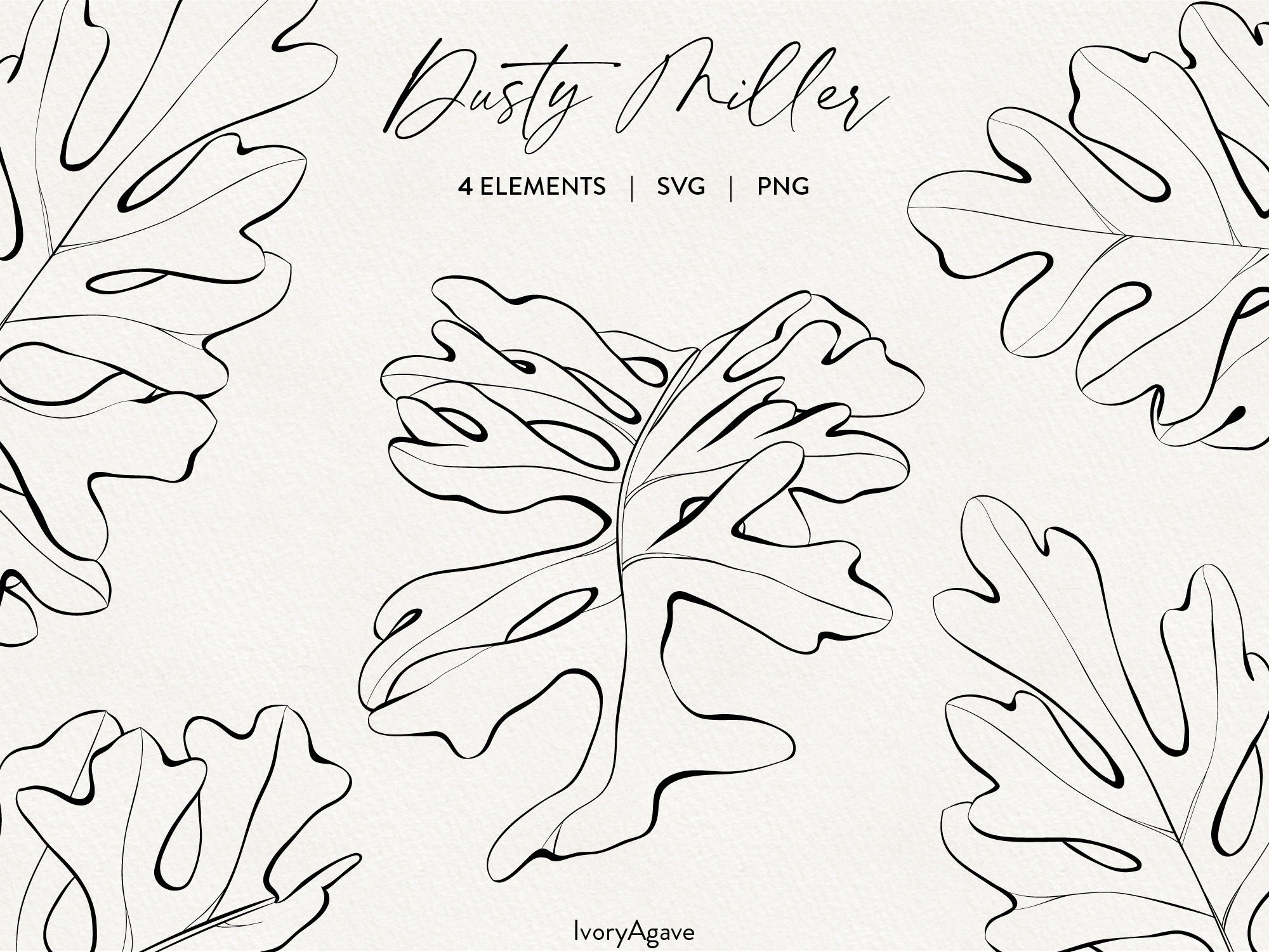 Dusty Miller Line Art Clipart | Botanical Flower Greenery Hand Drawn ...