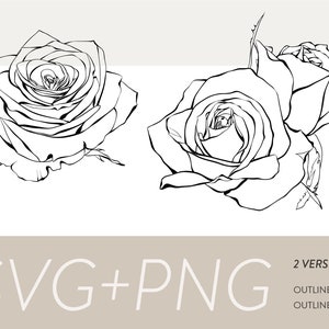 Rose Line Art Clipart Botanical Flower Hand Drawn Illustration SVG PNG ...