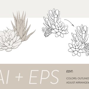 Succulent Garden Line Art Clipart | Summer Botanical Flower Hand Drawn ...