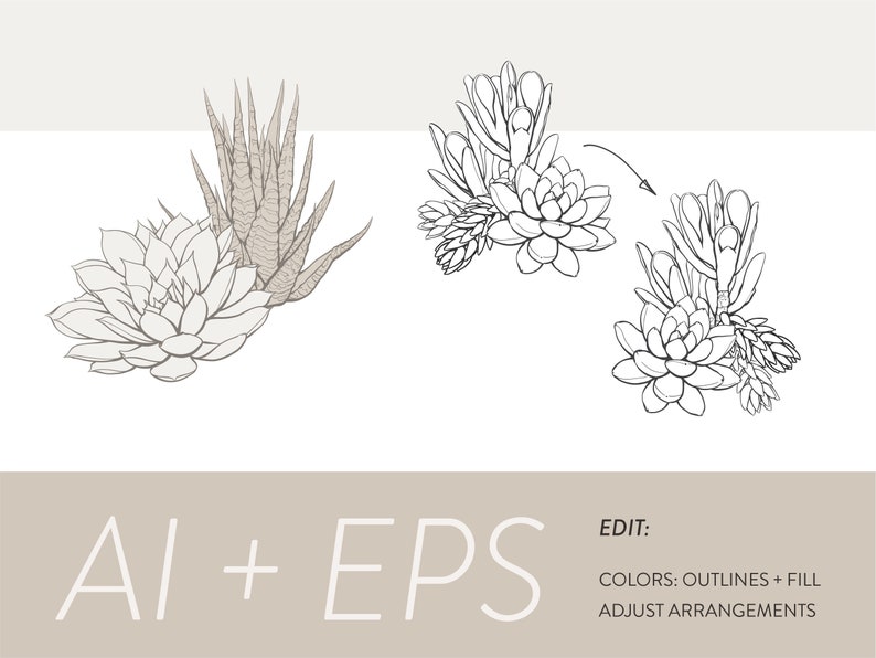 Succulent Garden Line Art Clipart | Summer Botanical Flower Hand Drawn ...