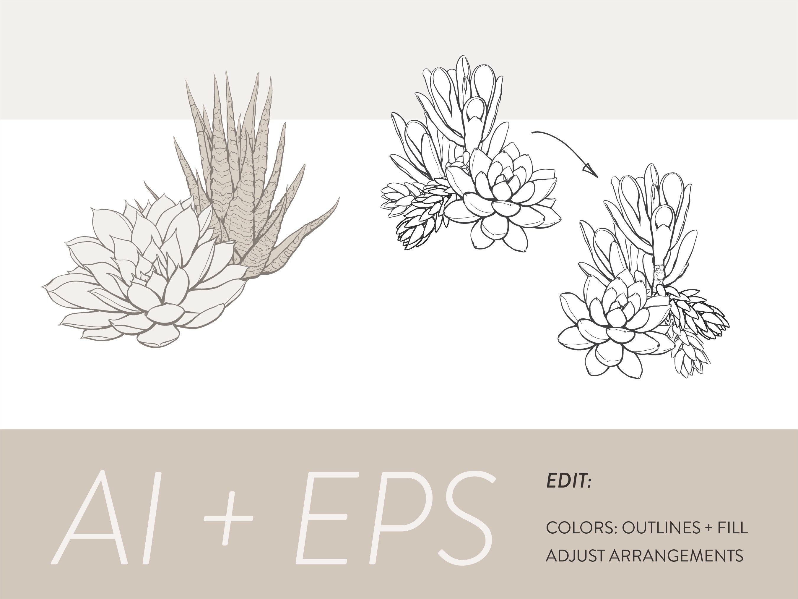 Succulent Garden Line Art Clipart | Summer Botanical Flower Hand Drawn ...