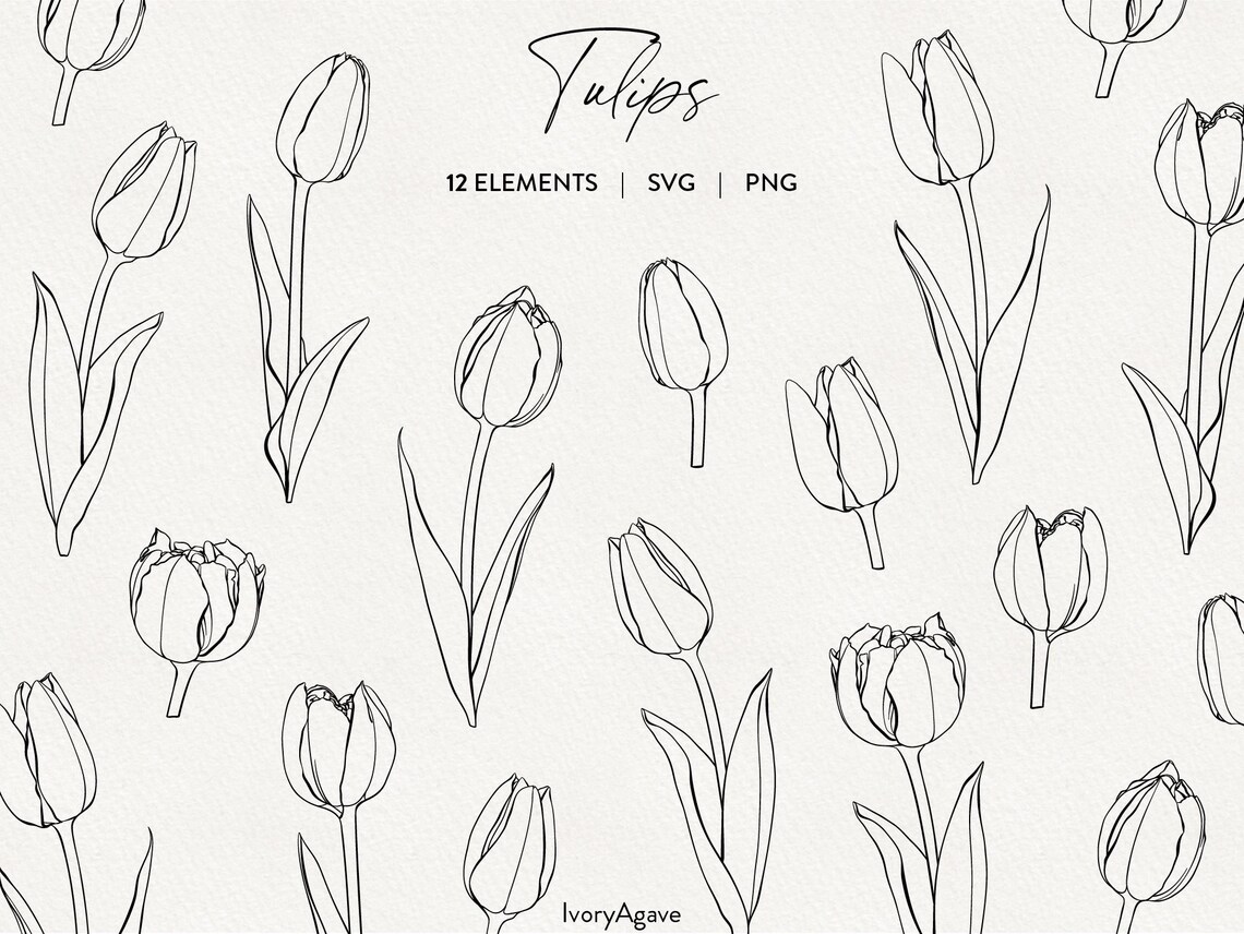 Tulip Flowers Line Art Clipart Modern Spring Easter Florals Hand Drawn ...