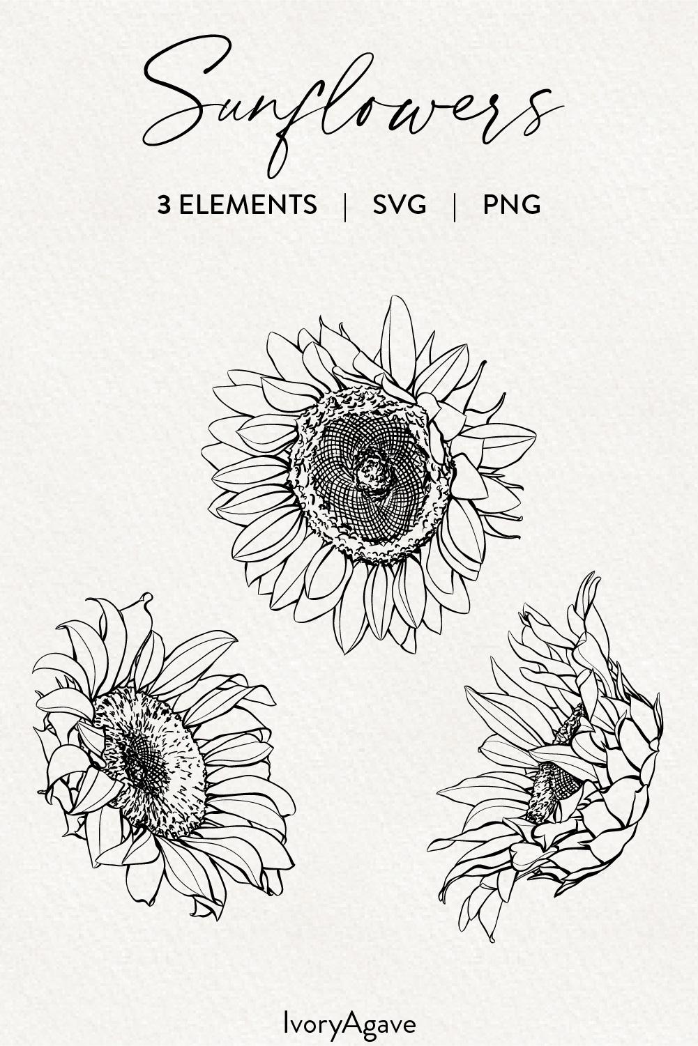 Sunflowers Line Art Clipart | Hand Drawn Floral Botanical Vector | Fine ...