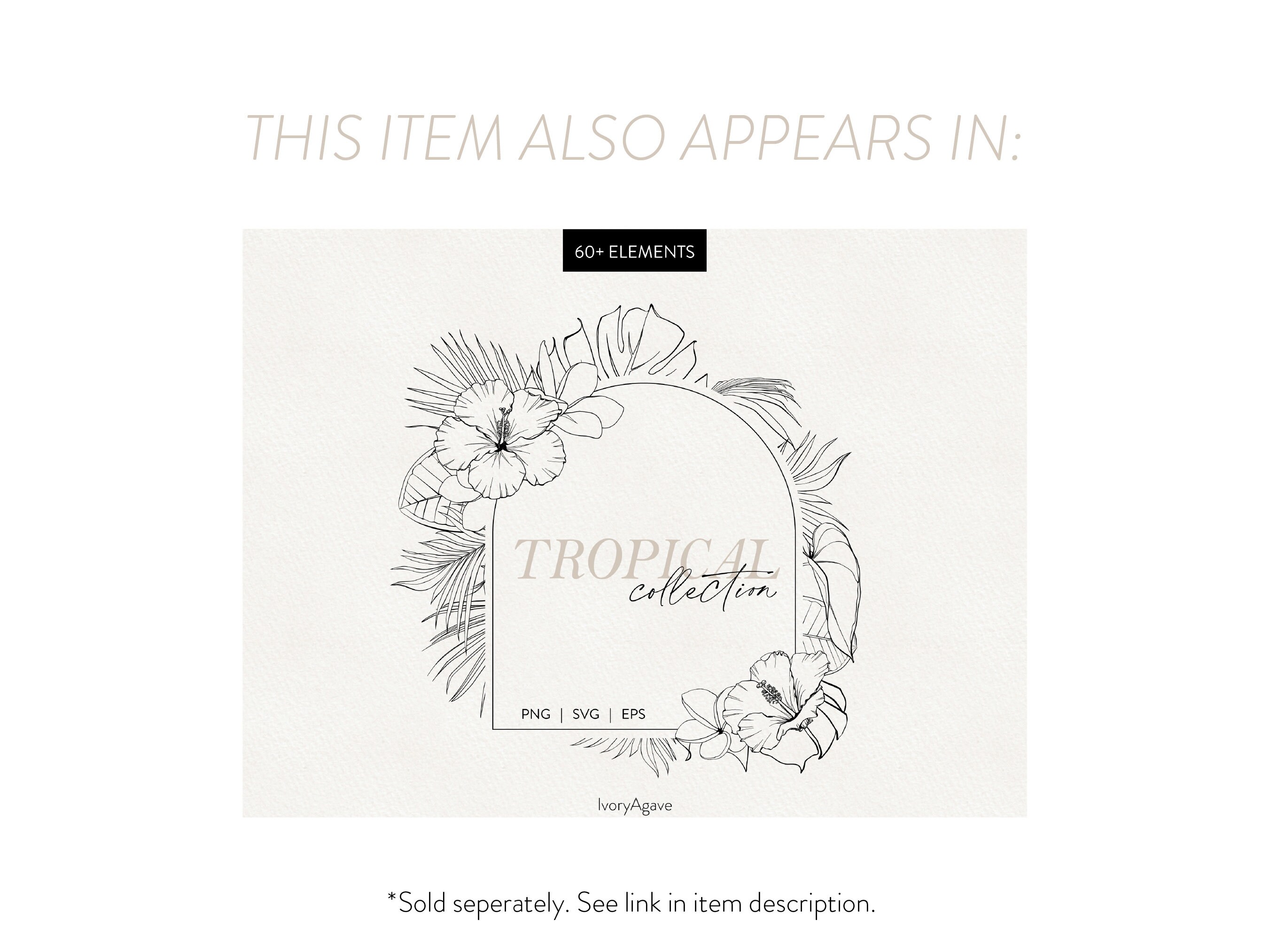 Monstera Line Art Clipart | Summer Tropical Leaves Botanical Hand Drawn ...