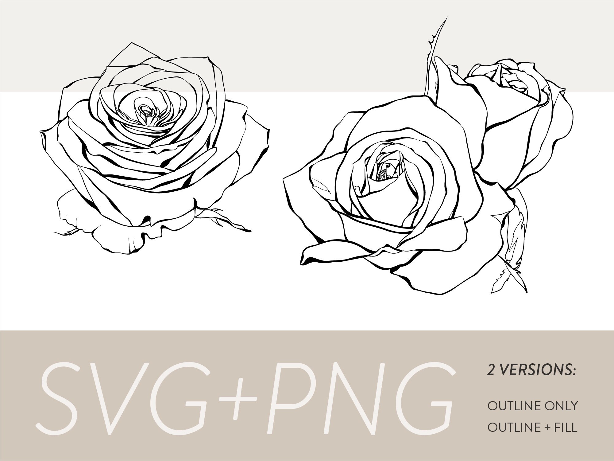 Rose Line Art Clipart | Botanical Flower Hand Drawn Illustration ...