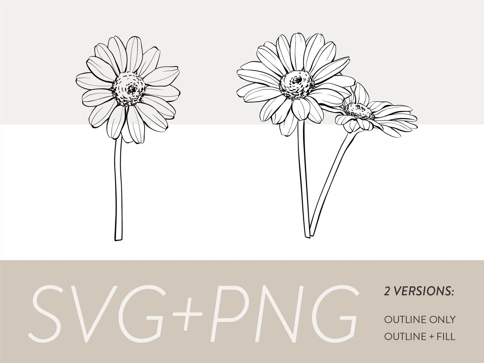 Daisy Flowers Line Art Clipart Modern Spring Easter Florals Hand Drawn ...