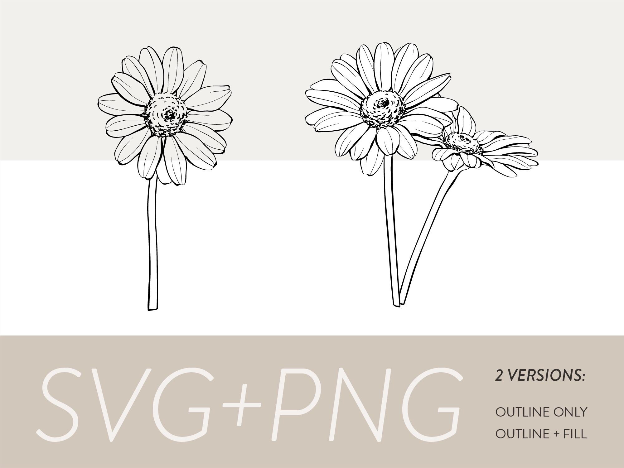 Daisy Flowers Line Art Clipart Modern Spring Easter Florals Hand Drawn ...