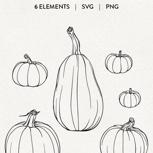Fall Pumpkins Line Art Clipart | Hand Drawn Vector | Autumn Fine Line ...