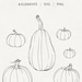 Fall Pumpkins Line Art Clipart | Hand Drawn Vector | Autumn Fine Line ...