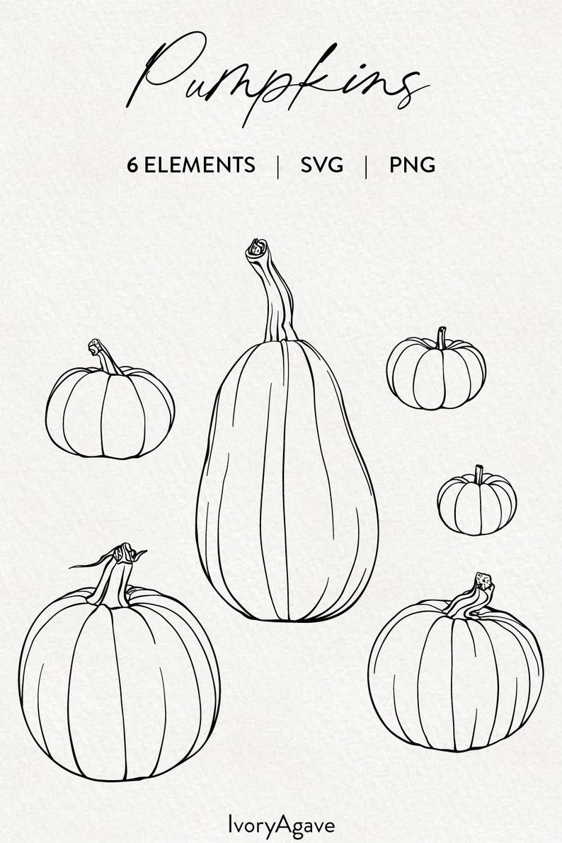 Fall Pumpkins Line Art Clipart | Hand Drawn Vector | Autumn Fine Line ...