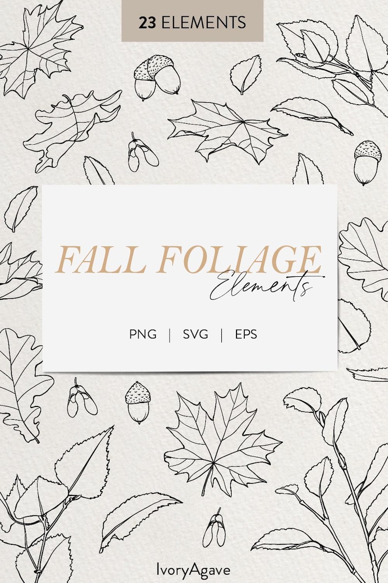 Fall Foliage Oak Birch Maple Leaves Line Art Clipart | Autumn Leaves ...