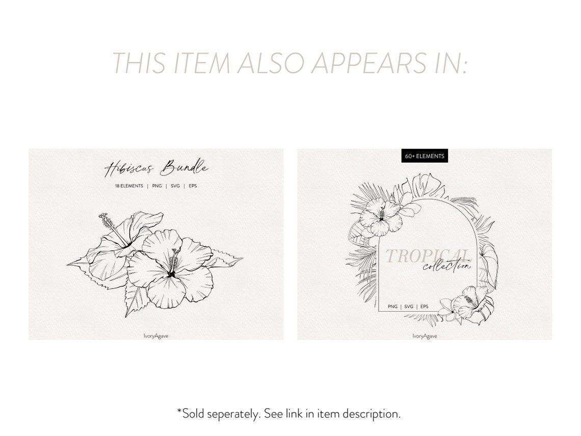 Hibiscus Flowers Line Art Clipart Summer Tropical Botanical Hand Drawn ...