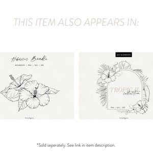 Hibiscus Flowers Line Art Clipart Summer Tropical Botanical Hand Drawn ...
