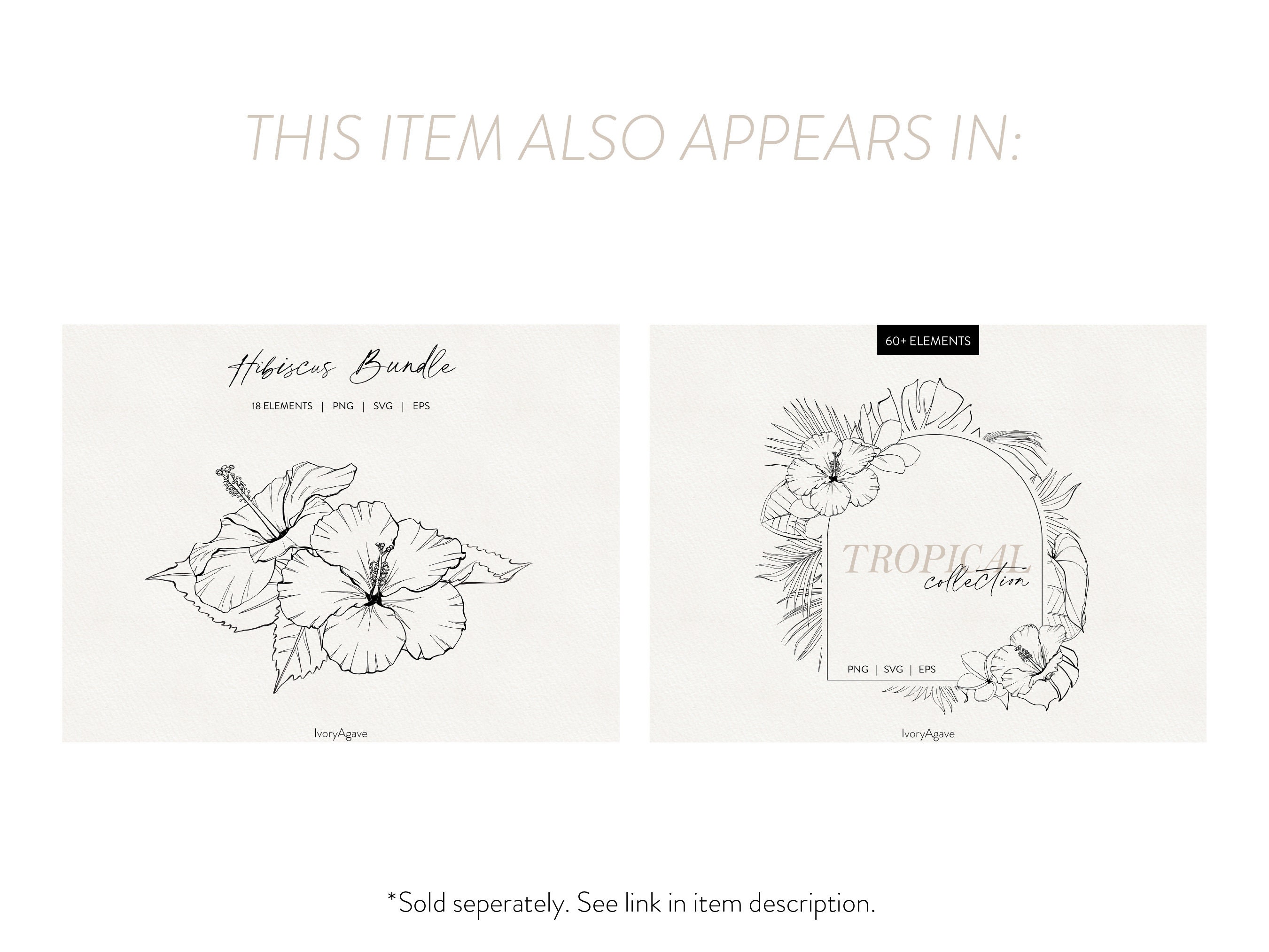 Hibiscus Flowers Line Art Clipart Summer Tropical Botanical Hand Drawn ...