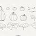 Fall Pumpkin Patch Line Art Clipart | Autumn Pumpkins Vines Leaves Hand ...