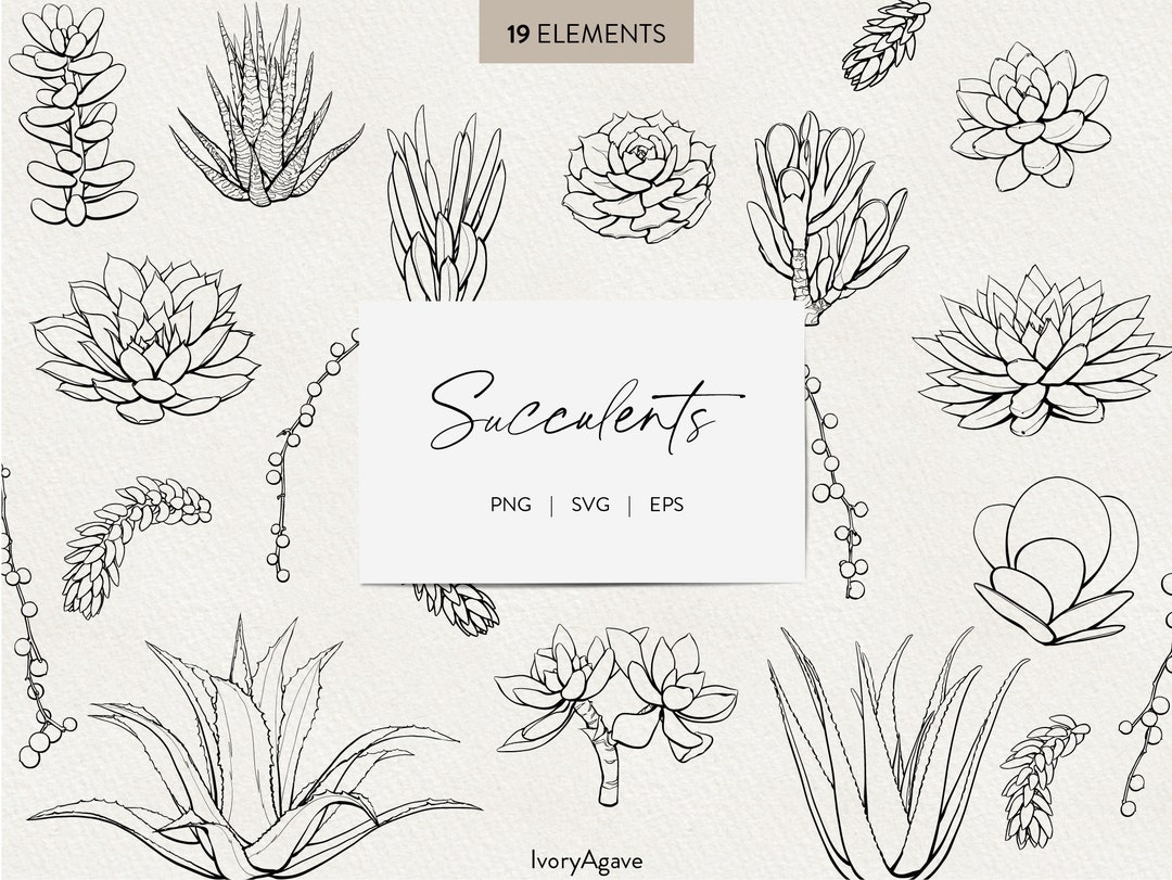 Succulents Line Art Clipart Hand Drawn Summer Botanical Flora SVG PNG ...