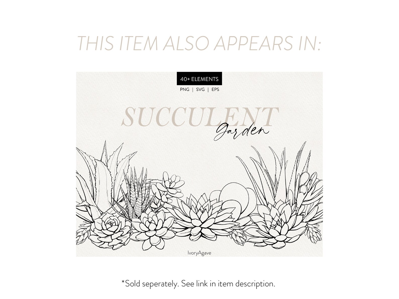 Succulents Line Art Clipart Hand Drawn Summer Botanical Flora SVG PNG ...
