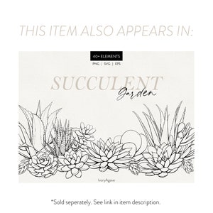 Succulents Line Art Clipart Hand Drawn Summer Botanical Flora SVG PNG ...