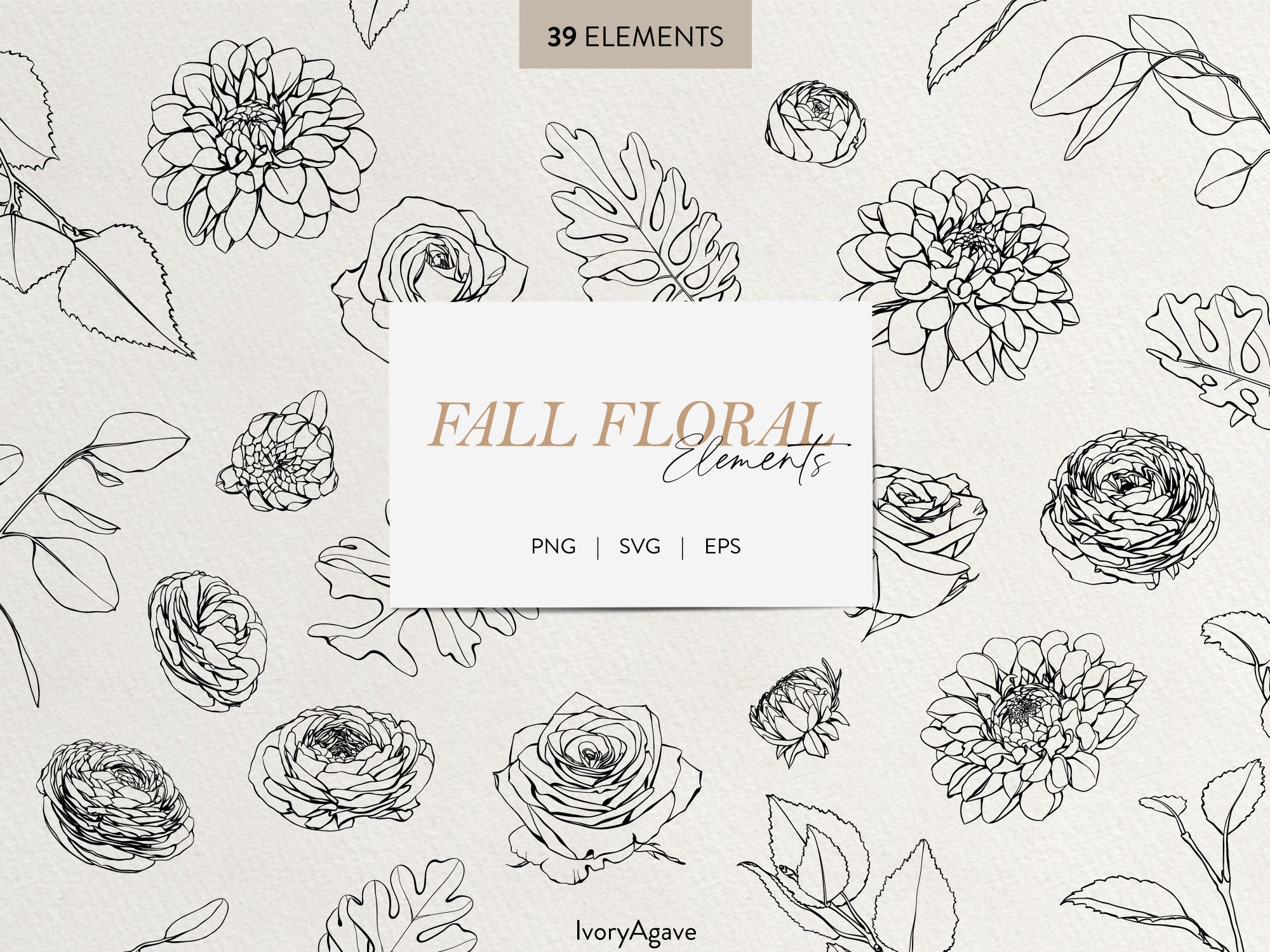 Fall Floral Line Art Clipart Elements | Autumn Botanical Flowers Hand ...